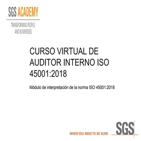 Auditor interno iso sgs | PDF
