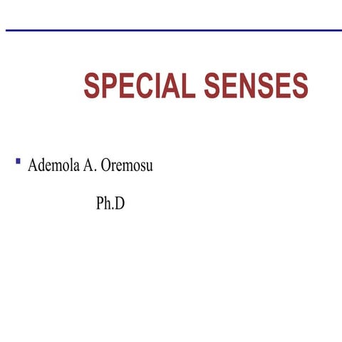AUDITORY ear pathway special senses-2.ppt