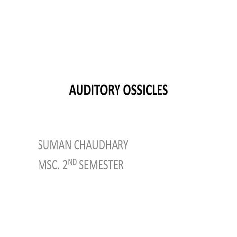 Auditory Ossicles Presentation Pptx