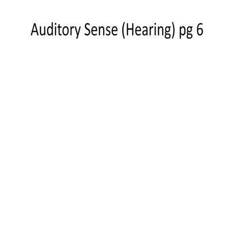 Auditory sense | PPT