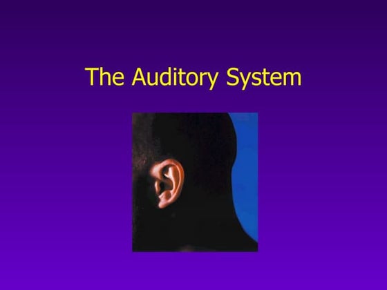 Overview of the auditory pathway | PDF