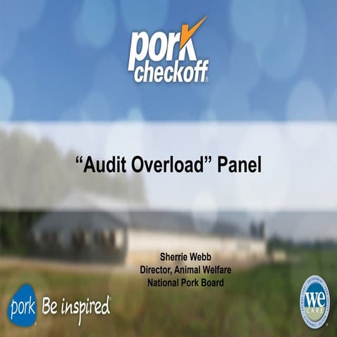 Audit Overload | PPT