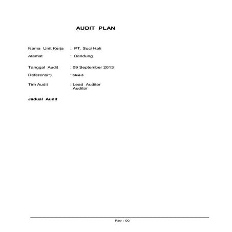 Audit plan | PDF