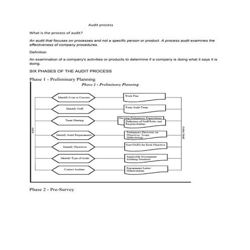Basic Internal Auditing Presentation | PDF