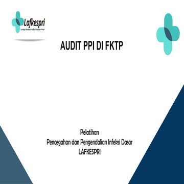 Audit Program PPImateripelatihanlakespri | PDF