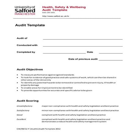 audit report template 11.docx