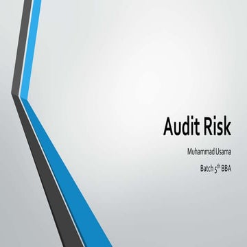 Audit Risk Presentation.pptx