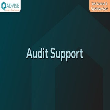 Audit Support.pdf