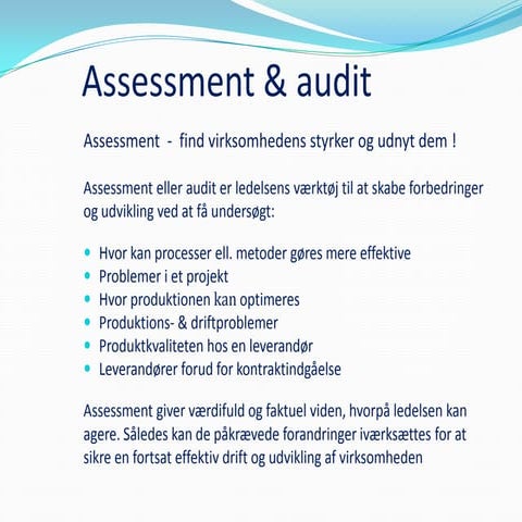 Audit web pp 5 maj 2010 | PPTX
