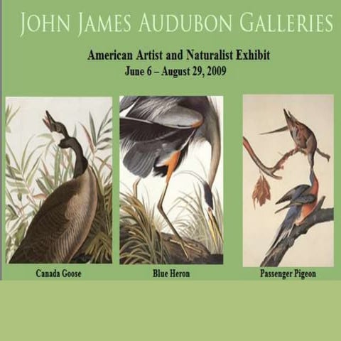 Audubon | PPT