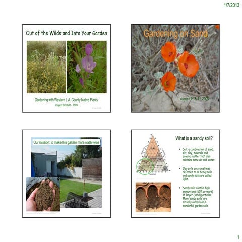 Sandy soil gardening - notes | PDF