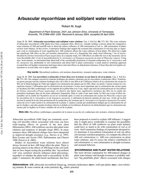 Unit 4.ppt HISTORY OF ETHIOPIA AND THE HORN CH 4 | PPT