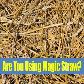 Avoid Magical Thinking | PPTX