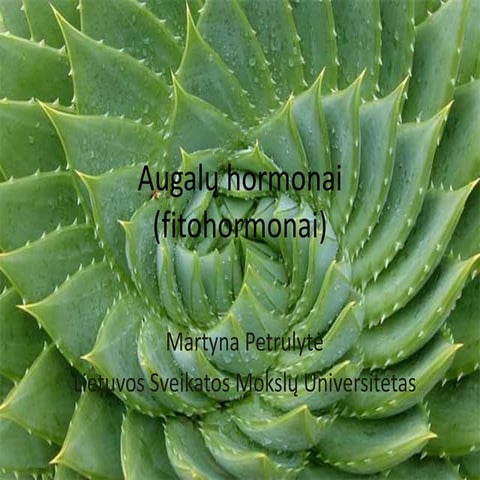 Augalų hormonai | PDF
