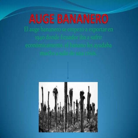 Auge bananero | PPTX
