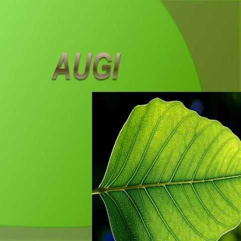 Augi | PPTX