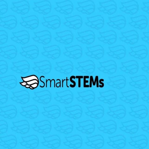 Boosting Diversity in STEM Strand: Social Change Project | PPTX
