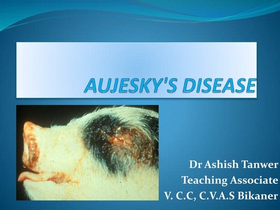 Mastitis in cattle, buffalo | PPT | Ear, Nose and Throat Conditions ...