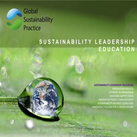 Sustainability Innovation Workshops Pptx