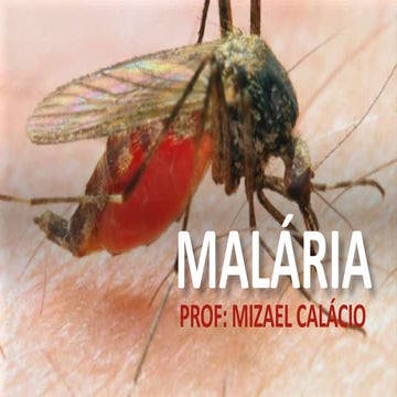 AULA - 10 MALÁRIA.pptx