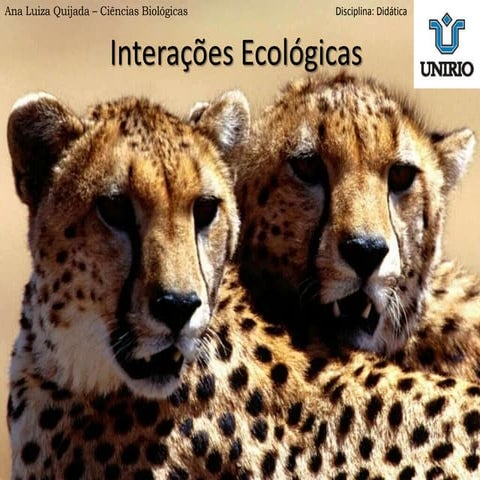 Interações ecológicas | PPTX