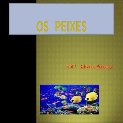 Aula os peixes | PPTX