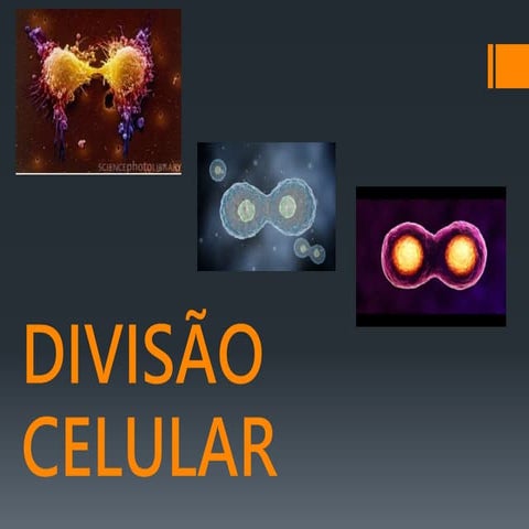 AULA 03- DIVISAO CELULARDIVISAO CELULAR .pptx
