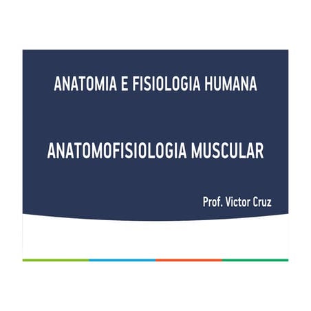 Sistemas atp cp e glicolitico | PDF