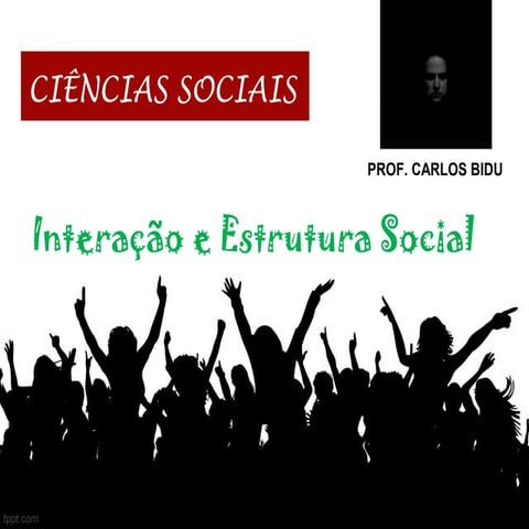 Interação e Estrutura Social | PPT