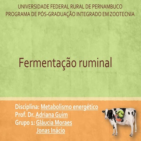 Aula 1 fermentação ruminal | PPTX