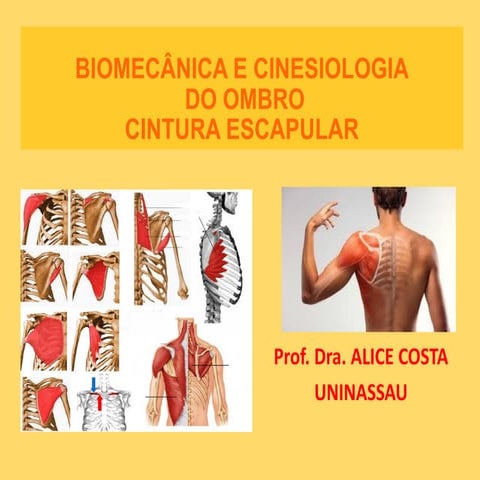 Podoposturologia elementos e barras | PPT