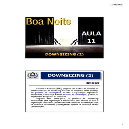 Aula 11 downsizing (2) | PDF