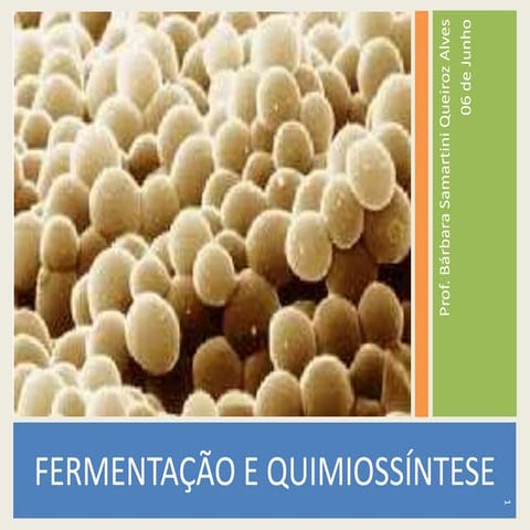 Aula12 fermentação e quimiossíntese | PPTX