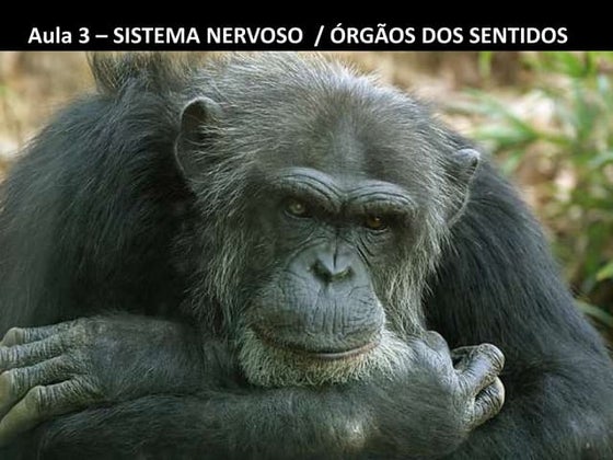 Johnny carlock reference letter | PDF