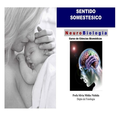aula+somestesia.ppt