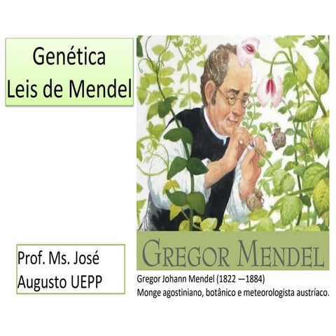 Aula de genética 1 lei de mendel | PPTX