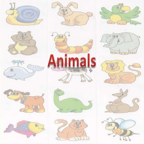 Animals | PPT