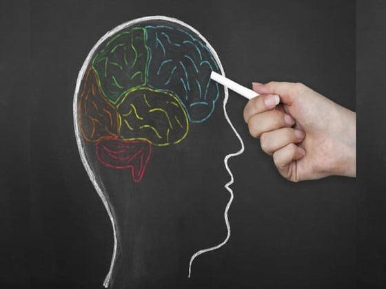 Medresumos 2016 Neuroanatomia 09 Estrutura E Funções Do Cerebelo Pdf