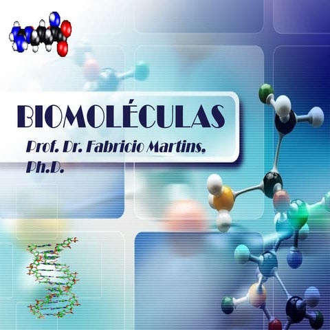 Comprehensive Overview of Biomolecules: Structure, Function, and ...