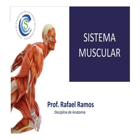 Aula 3 - Sistema Muscular - Prof. Rafael Ramos.pdf
