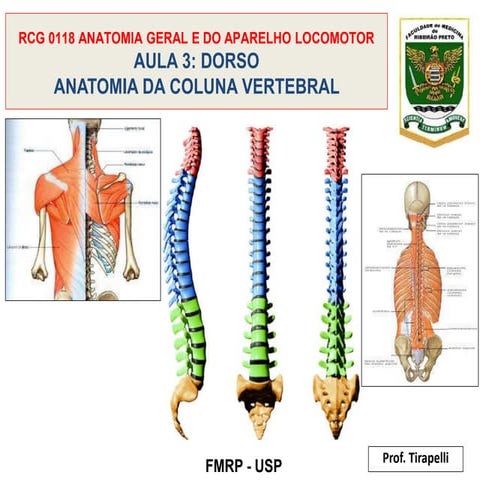 AULA 3 COLUNA VERTEBRAL MEDICINA.pptx
