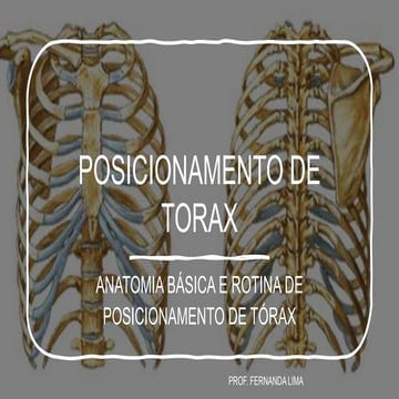 01 posicionamento de esterno e costelas | DOCX