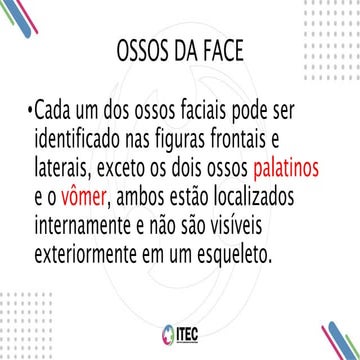 AULA 4 OSSOS FACE.pptx