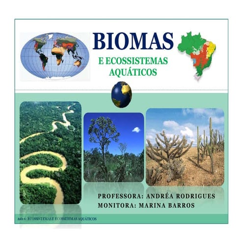 Aula6 biomas | PDF