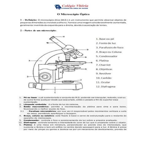 Partes De Um Microscopio E Sua Funcao