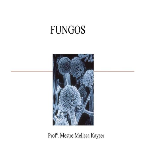 Aula 6- Caracteristicas Gerais dos Fungos.pdf