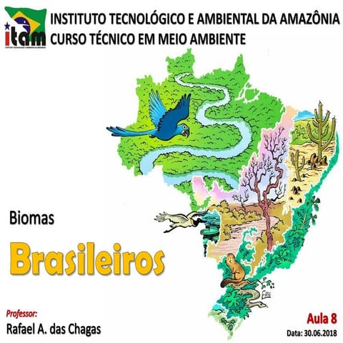 Téc. Meio Ambiente: Aula 9 - Biomas brasileiros | PPT