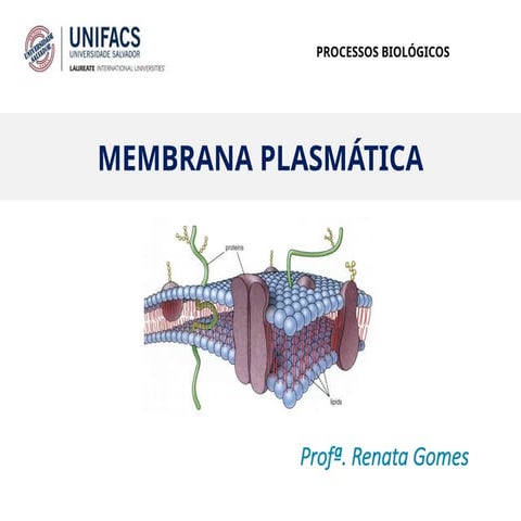 Comprehensive Overview of Plasma Membrane Structure and Transport ...