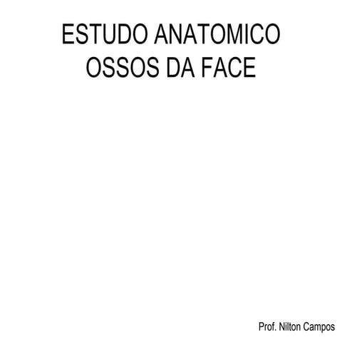 Anatomia da Face Irrigação e Inervação | DOC