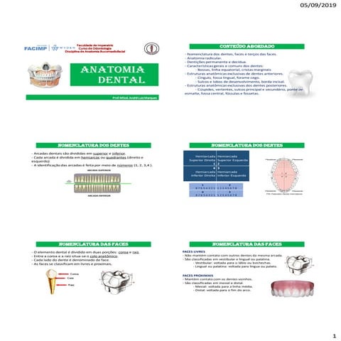 Aula Anatomia Dental Pdf